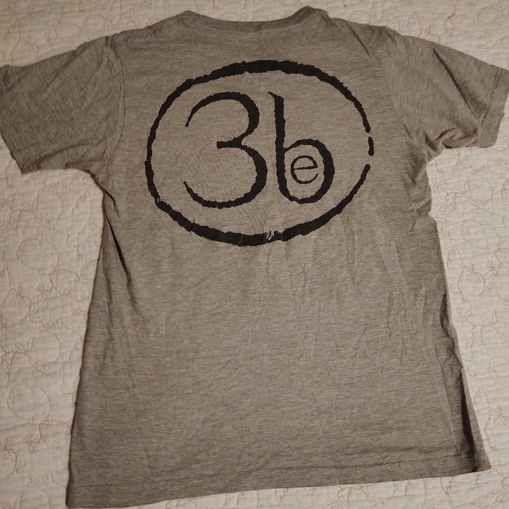 Grey Third Eye Blind Band Tee - Gem